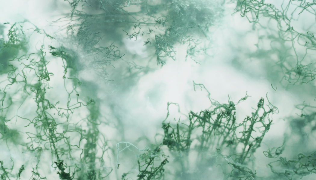 Moss Agate – Lychee Gems Wholesale